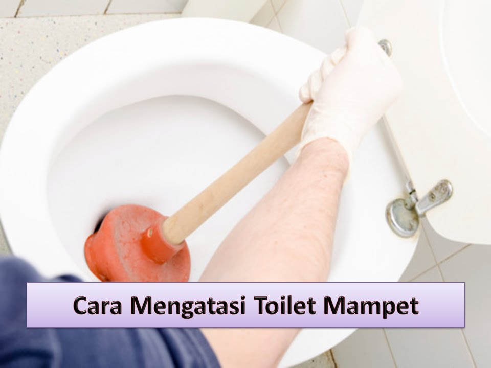 Cara Ampuh Mengatasi Toilet Mampet » Roto-Rooter Drain Service ...