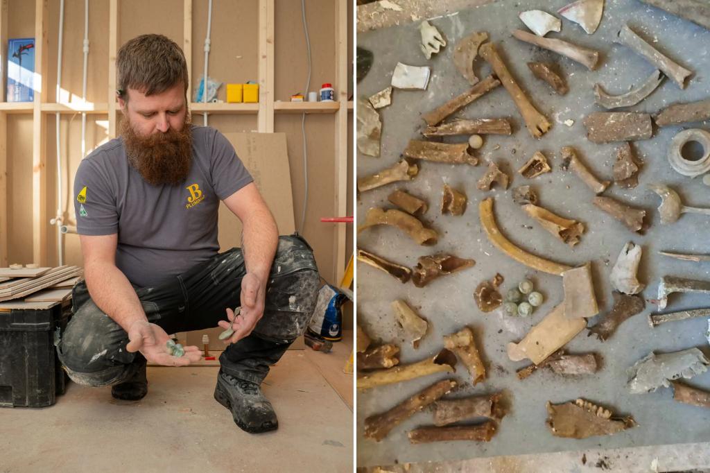 Plumber finds 20 bones while digging under bathroom: ‘Never seen » Roto ...
